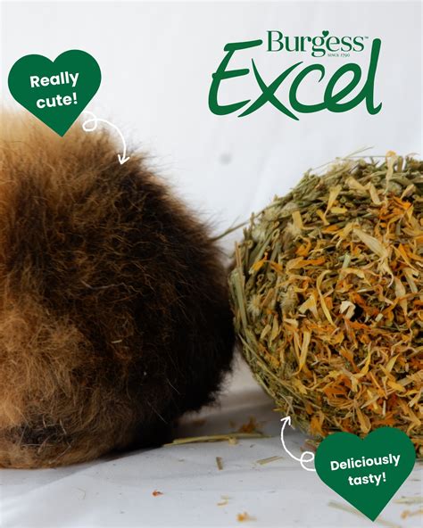 Burgess Excel Burgess Excel Added A New Photo