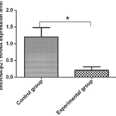 Effects Of Sirna Interference With Lincrna P21 Sirna Small Download Scientific Diagram