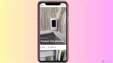 How To Organize A Google Photos Library