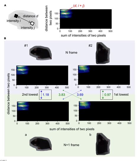Figure 1 From Marker Less Tracking System For Multiple Mice Using Mask