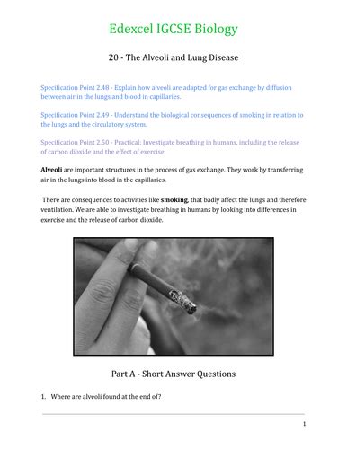 Edexcel Igcse Biology Worksheets Chapter 3 Movement Of Substances Teaching Resources