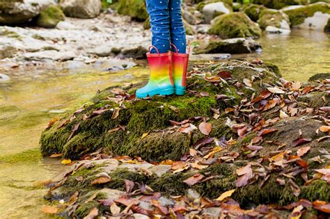 아이들과 함께 하는 야외 레크리에이션과 멋진 모험 어린 소녀가 따뜻한 가을 날에 고무 장화를 신고 숲속의 녹색 강을 따라 걷고