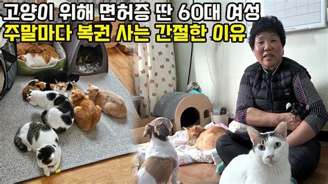 내복공장에서 일하며 길고양이 밥주던 그녀가 폐품까지 팔아서 60마리 고양이 돌보는 이유 Youtube