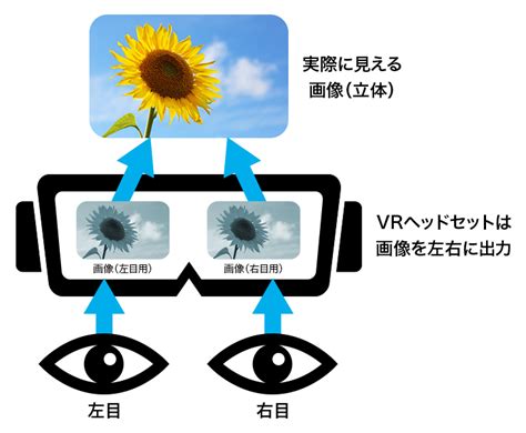 Vrってどんな意味？vrのしくみと活用事例 エレコム