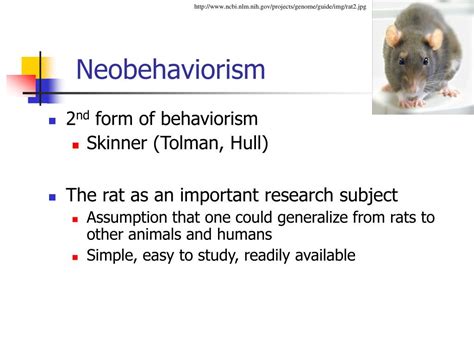 Ppt Behaviorism Powerpoint Presentation Free Download Id 483608
