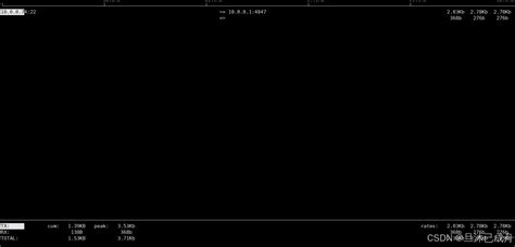 Linux网络基础与进阶 Csdn博客