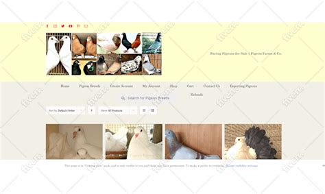 Fix Wordpress Website Issues Errors Bugs Html Css Elementor Pro