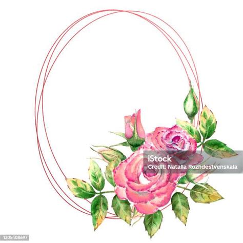 기하학적 프레임은 꽃으로 장식되어 있습니다 분홍색 장미 녹색 잎 열리고 닫힌 꽃 섬세한 수채화 일러스트 귀여운에 대한 스톡 벡터 아트 및 기타 이미지 Istock