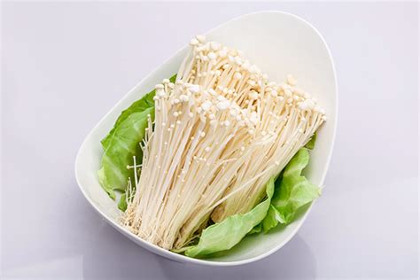 金针菇的功效与作用 白花菜的效与作用 蓝布正的效与作用 第12页 大山谷图库