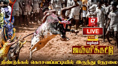 🔴live திண்டுக்கல் கொசவபட்டில் ஜல்லிக்கட்டு Youtube