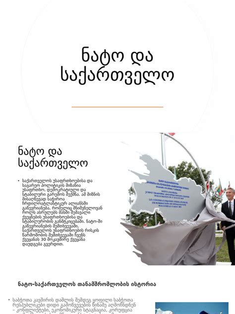 ნატო და საქართველო Pdf