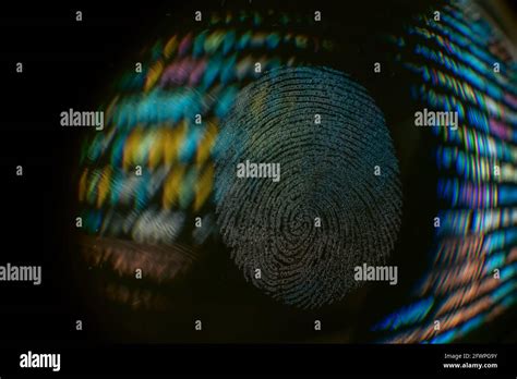 Nice Fingerprint On The Crumpled Background Of The Code Abstract