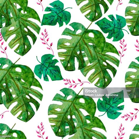 흰색 배경에 열대 잎과 빨간 나뭇 가지의 수채화 구성 엽서의 디자인 직물에 도면 0명에 대한 스톡 벡터 아트 및 기타 이미지 0명 개념 계절 Istock