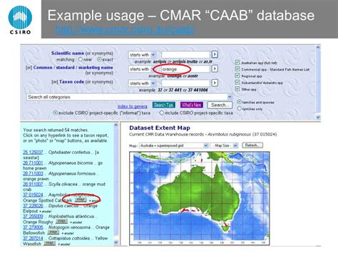 Ppt Rapid Spatial Indexing And Web Mapping Using The â€œc Squaresâ