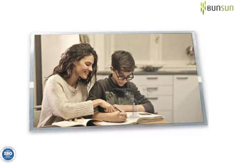 24 0 Inch IPS TFT Display Supplier In China BUNSUN Display