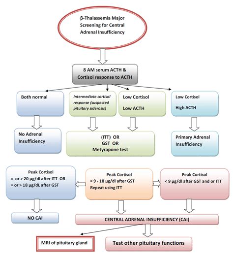 Adrenal Insufficiency Cortisol Stress Test