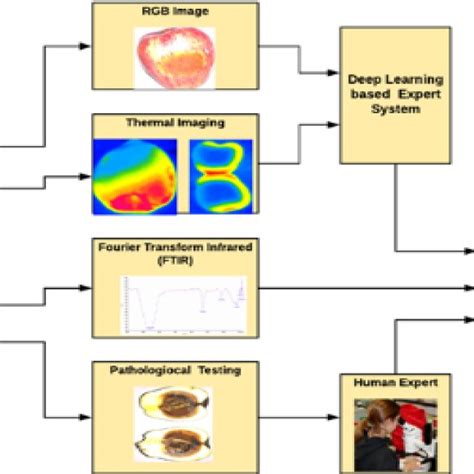 Fruit Defect Prediction Model Fdpm Based On Three Level Validation Request Pdf