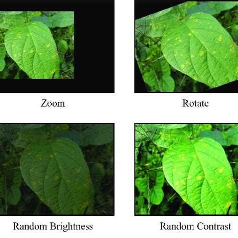 The Illustration Of Different Augmentation Methods Download Scientific Diagram