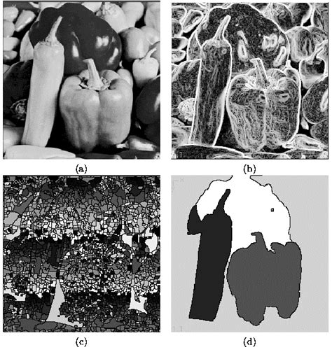 An Example Of Watershed Segmentation A Original Image B Gradient Download Scientific An Example Of Watershed Segmentation A Original Image B Gradient Download Scientific