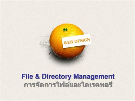 Ppt File And Directory Management การจัดการไฟล์และ ไดเรคทอ รี Powerpoint Presentation Id6220562