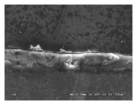 A Sem Image Of Cross Section Of Coated Al B Edax Spectrum Of The Download Scientific