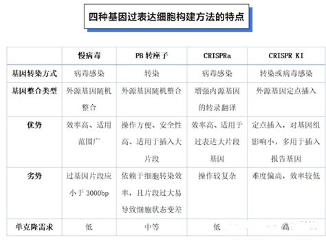 Crispr Ki技术构建基因过表达细胞株 Udp糖丨mof丨金属有机框架丨聚集诱导发光丨荧光标记推荐西安齐岳生物