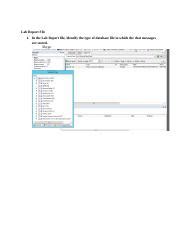 CSCI Lab Docx Lab Report File In The Lab Report File Identify The Type Of Database