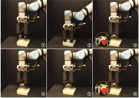 Revolutionizing Robotic Grippers A Breakthrough In Object Manipulation