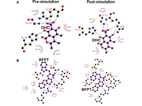 Ligplot Interaction Analysis Of Screened Natural Compounds With Lodc