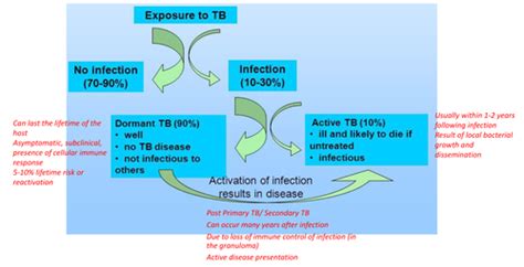 Pathology Of Mycobacterial Tuberculosis Infections Flashcards Quizlet