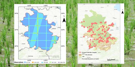 improved paddy rice classification utilising sentinel 1 2 imagery