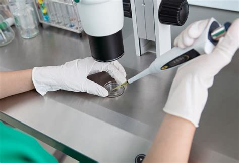 Intracytoplasmic Sperm Injection ICSI What Are The Risks WIN