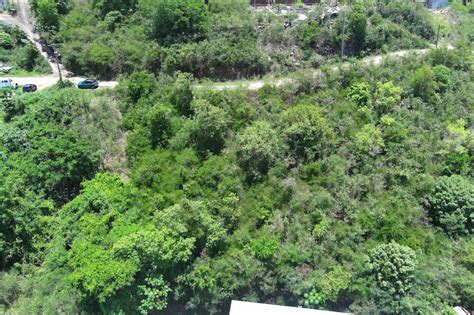 810 Belle Vue Parcel 191 Luxury Properties Bvi Tortola Real Estate Agents