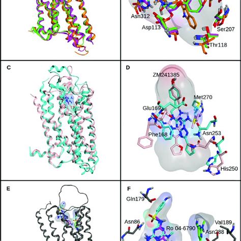 Structures And Binding Modes Panel A Shows The Superposition Of The