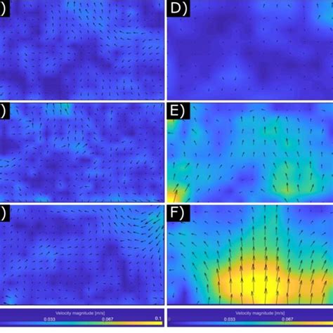 The Md Filaments Piv Velocity Surface Distribution Map And Collective