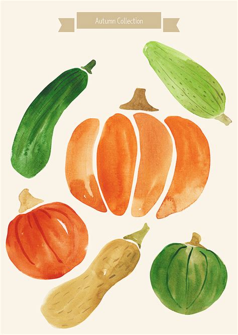 일러스트레이션 가을수채화 호박 유토이미지 상세페이지 베이직샵 일러스트 20083016