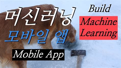 5종 신기神器 머신러닝 모바일 앱 5종 따라 만들기 Tensorflow Lite 모델 이용 Flutter Mri 사진