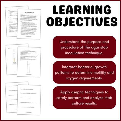 Microbiology Agar Stab Inoculation Lab Bacterial Growth High School