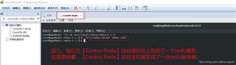 Redis入门十一：java中使用redis一：redis配置【protected Mode】和【bind】；jedis简介；redis