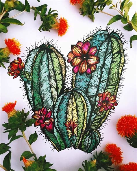 Cactus Flower Drawing At Getdrawings Free Download