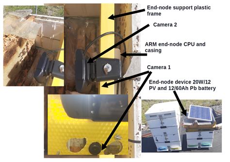 proposed varroa mite detection system end node device and device