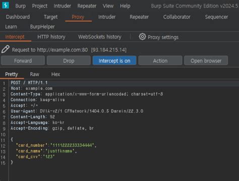 Network Layer Security