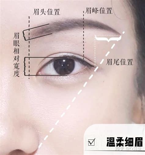 眉毛到底怎么画？你的脸型更适合什么样的眉毛？ 知乎