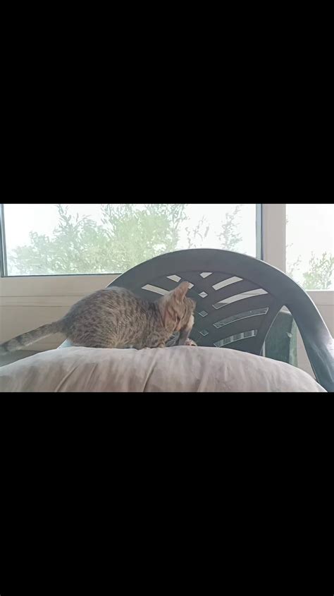 Въпреки че клипчето е само за мен да съм спокойна че вече са пристигнали и всичко е наред не