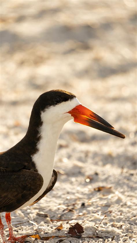 Anna Travel Airbnb And Hotel Content Creator Annacrocitto