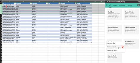 Mass Converting Leads In Salesforce Xappex