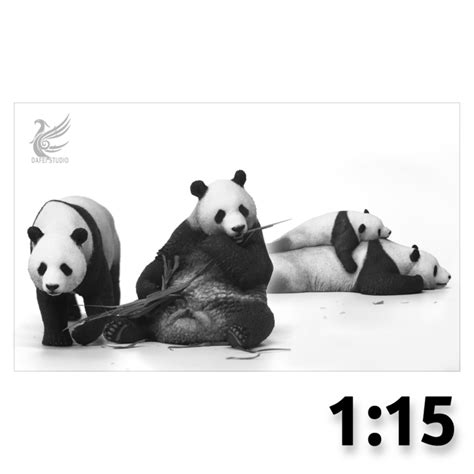다페이스튜디오 1 15 비율 자이언트판다 미도색킷
