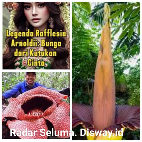 Legenda Bunga Rafflesia Arnoldii Dari Bengkulu Kisah Bunga Dari