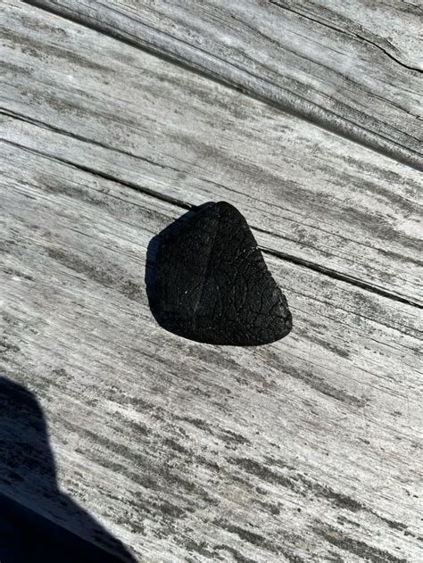 Beach Fossil R Fossilhunting