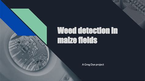 Neural Network Plant Classifier Freelancer